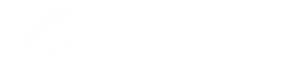 石川眼科 | 越谷駅徒歩5分 | コンタクトレンズ処方、ドライアイ治療、白内障手術等